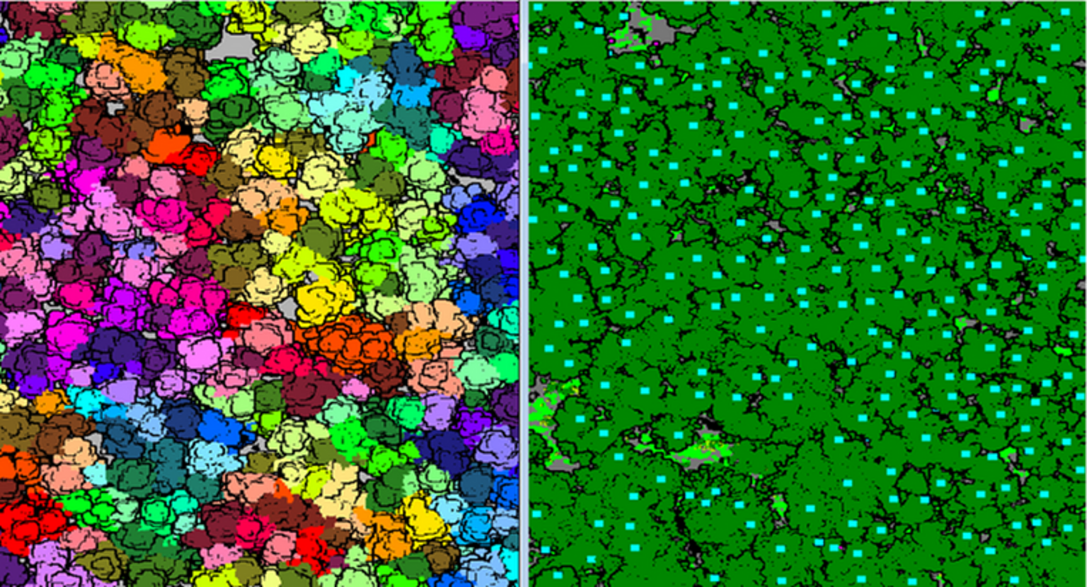 LiDAR - Forest inventory - GIS-Point